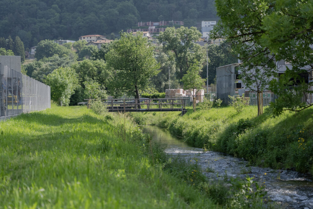Il Parco del Laveggio apre una nuova tratta | L'Informatore